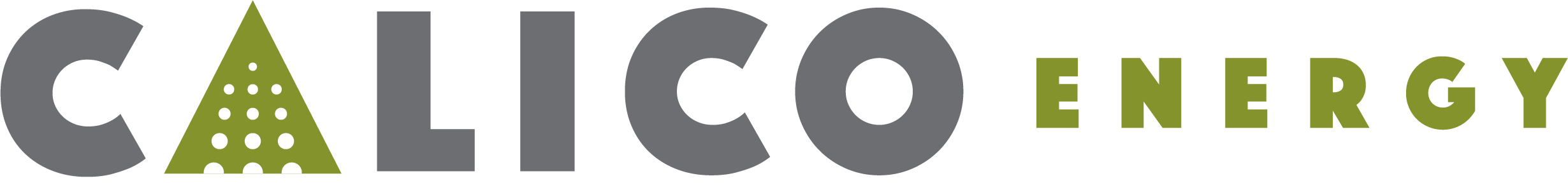 Calico Conversations: Tammy McLeod Ph.D.