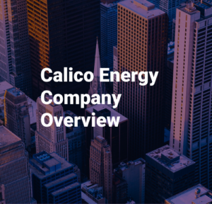 Data Solutions for Utilities and Their Partners - Calico