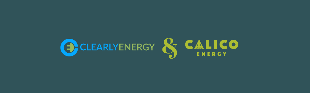 Building Baselines: Carolyn Sarno Goldthwaite